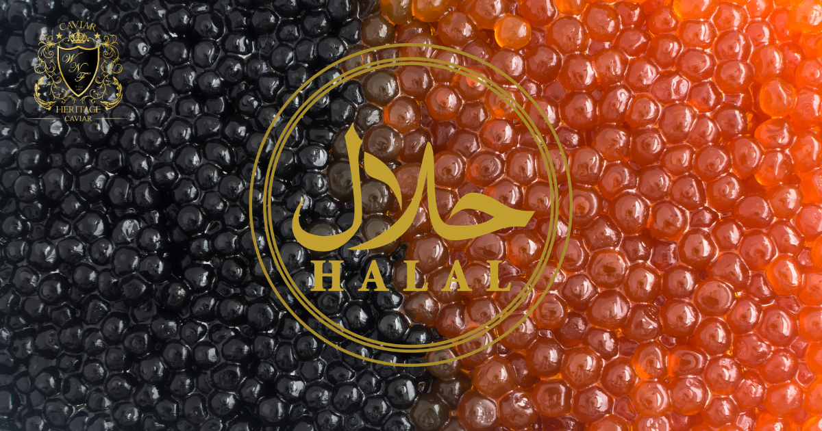 Buy Caviar Online in Dubai | Beluga, Osetra & Almas
